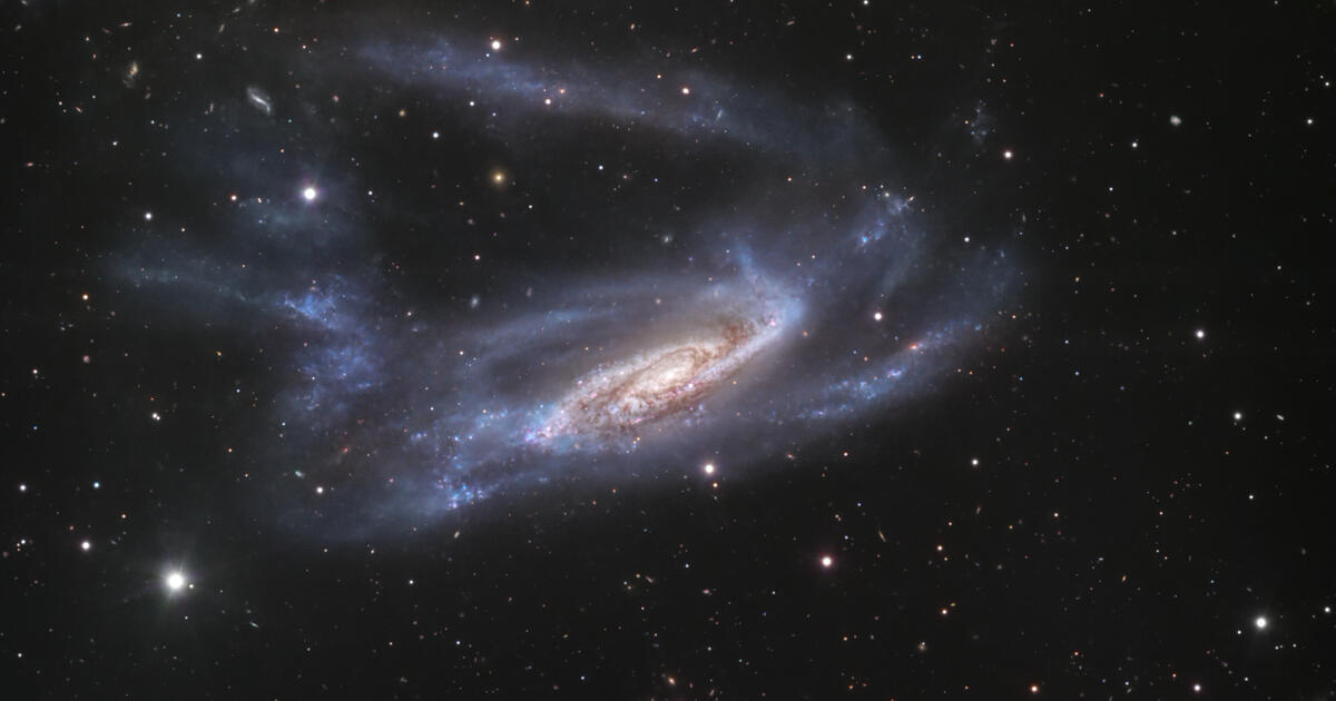 NGC 3981 | Telescope Live